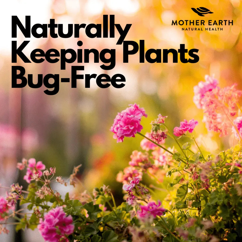 Naturally Keeping Plants Bug Free - Mother Earth Natural Health